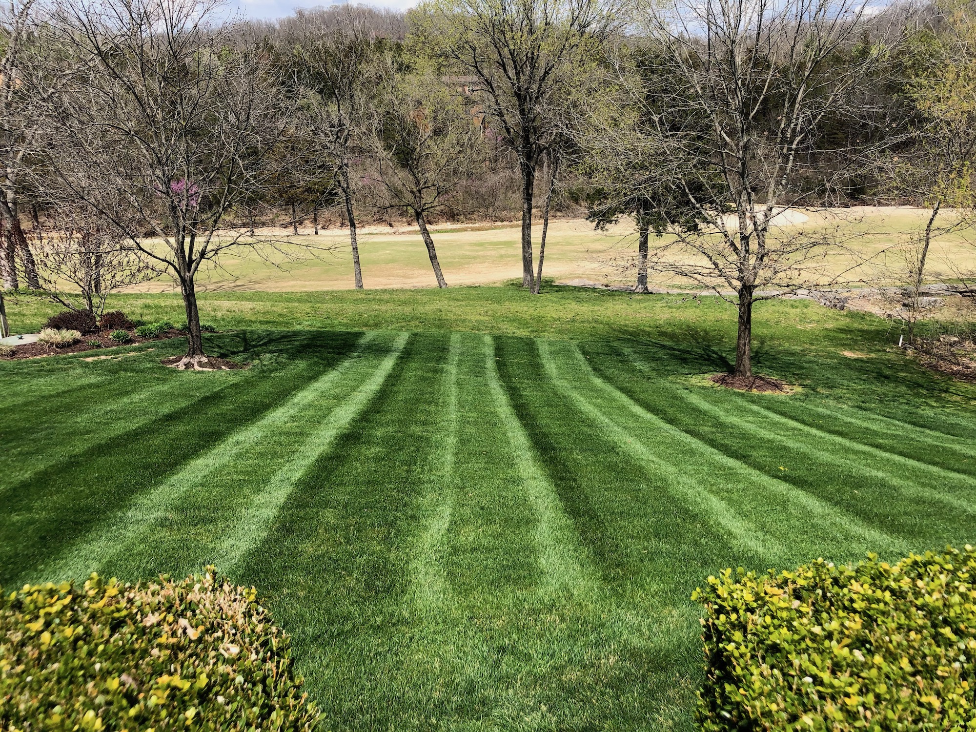 Who We Are - Mow Pro